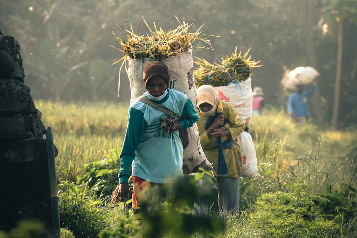 Pendekatan Lokal Indonesia terhadap Pembangunan Berkelanjutan dalam ...